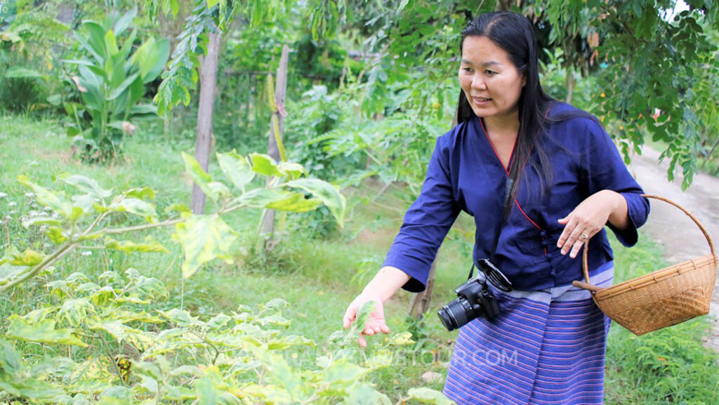 FULL DAY – PROFESIONAL NORTHERN THAI COOKING CLASS – Grand Smile Tour